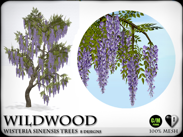 Second Life Marketplace - Purple Tree - Wisteria Sinensis Trees - Spring Trees - Lilith Heart